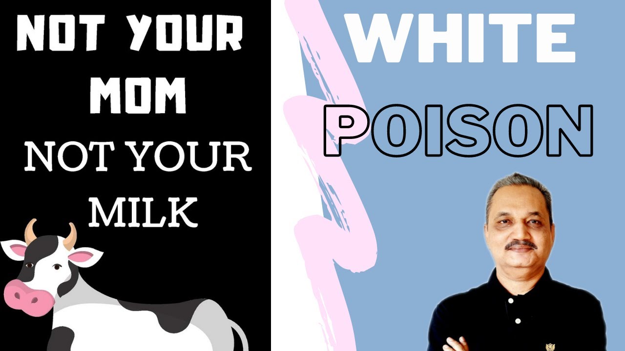 milk slow poison I milk poison or healthy I milk a white poison I cow ...