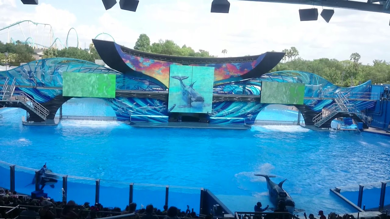 Show Sea World 2015 - YouTube