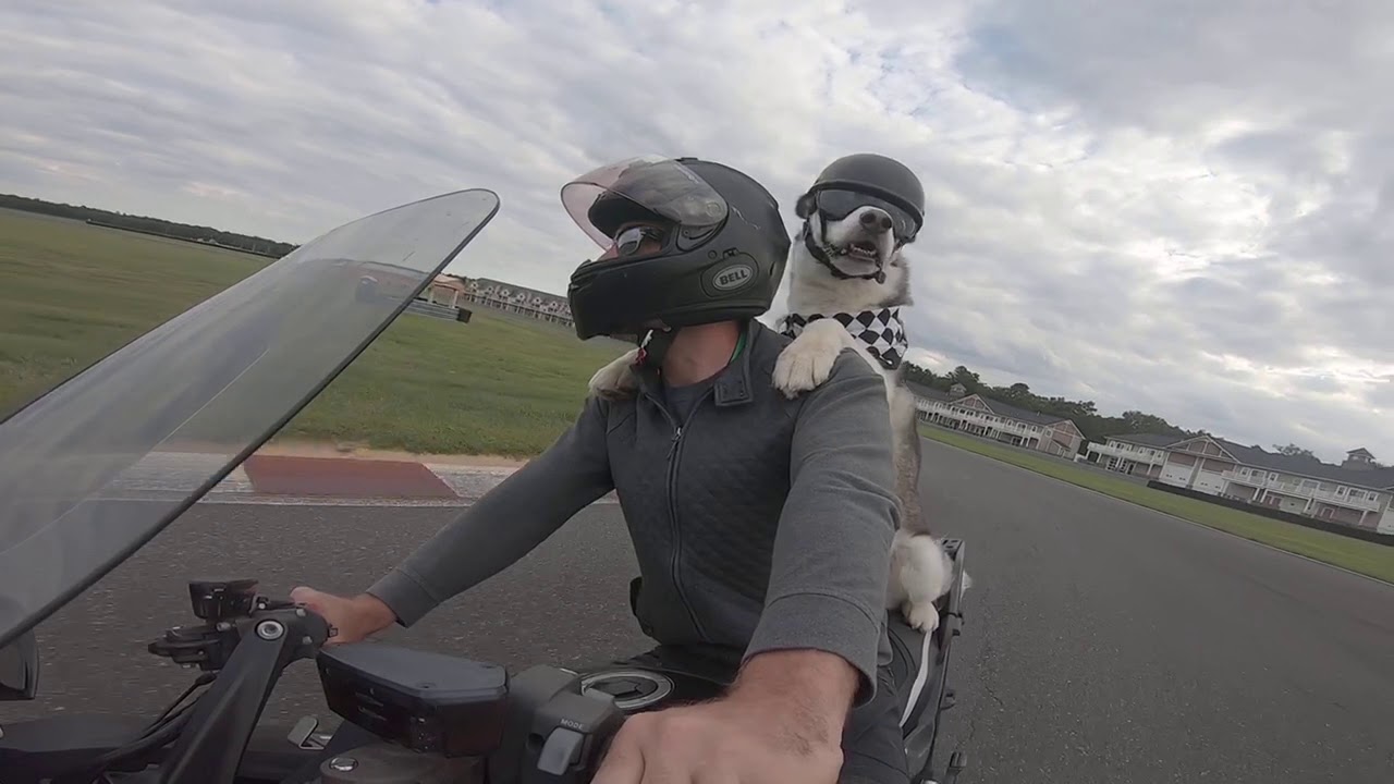 Team Bike Dog rides the race track - YouTube