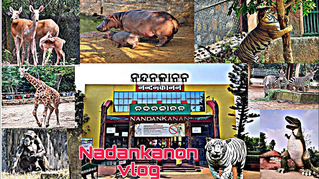 Nandan Kanan ||Nandan Kanan Zoology Park Odisha - YouTube