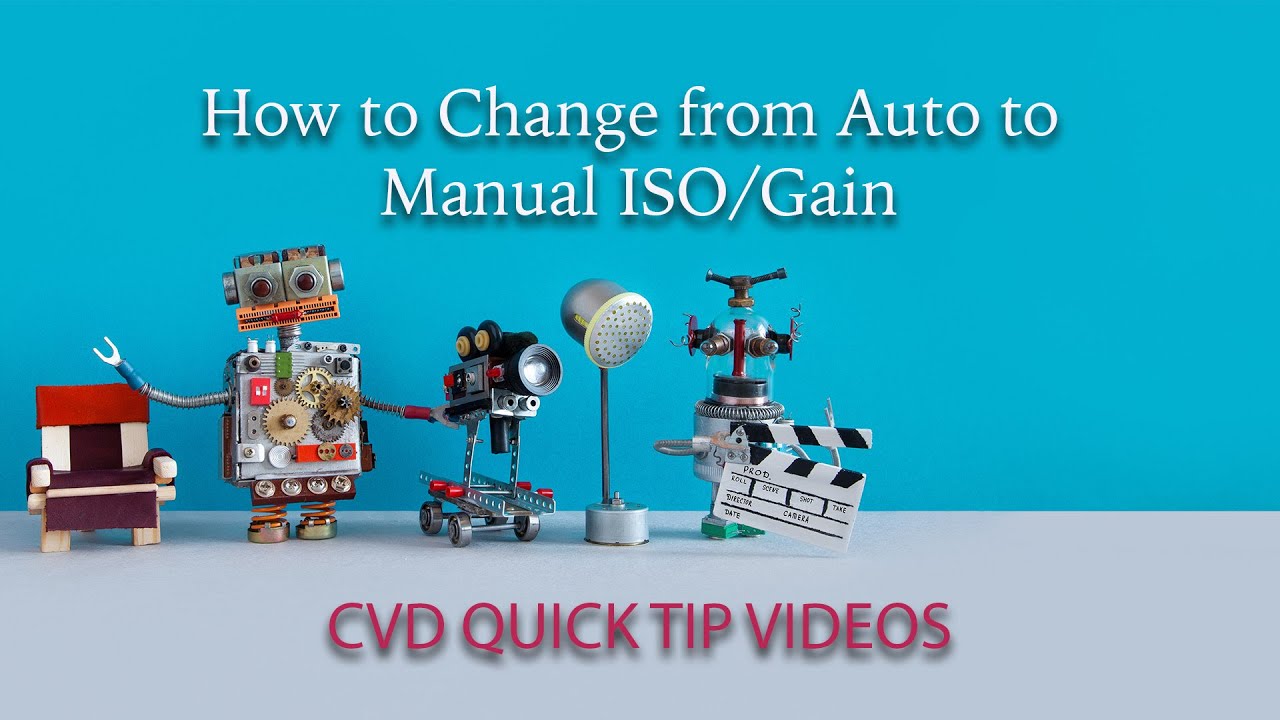 How To Get Out of Auto ISO GAIN - YouTube