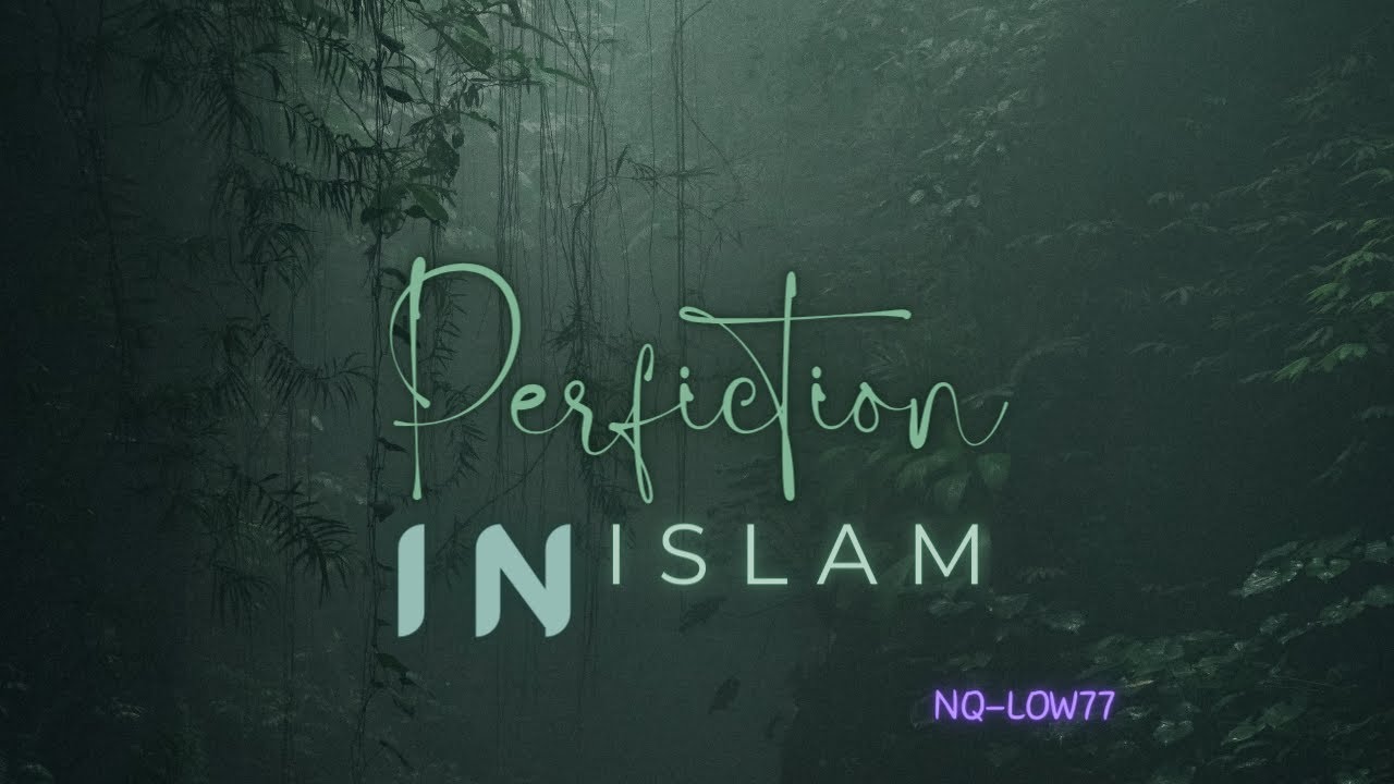 Perfection in Islam ^__@NQ-Low77 __^ #muslimmindset #perfection #islam ...