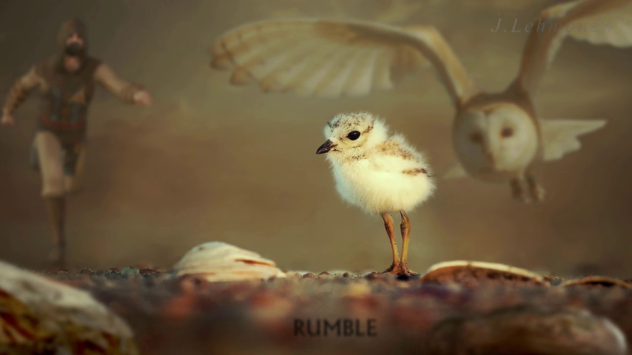 Rumble - YouTube