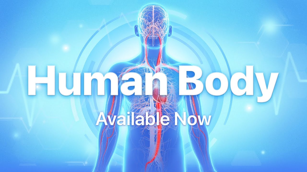 Exploring Human Body with Immersive 3D Cartoon！Kids Cartoon| Science ...