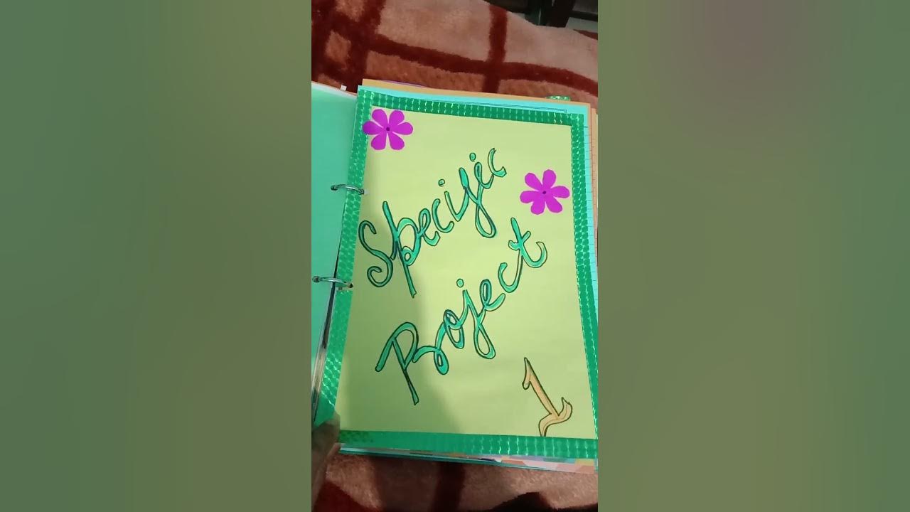 accountancy class 12 project file - YouTube