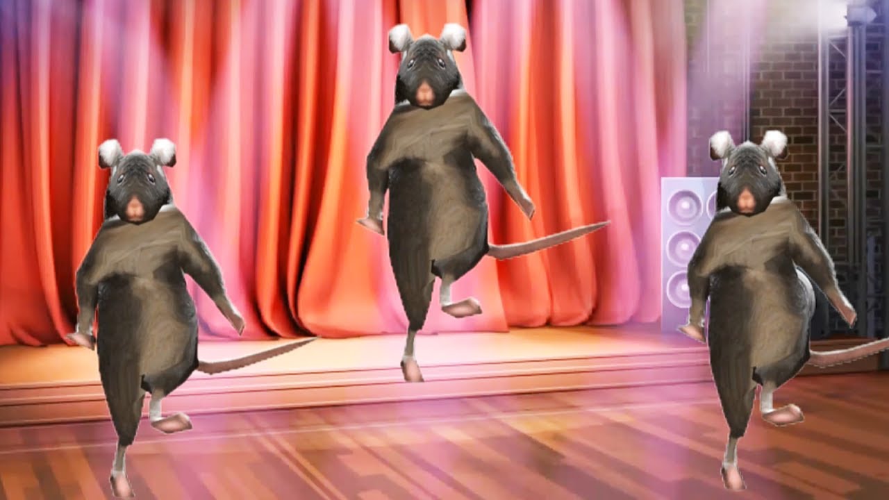 RAT DANCE | When the dancing mouse enters the stage 🐭 - YouTube