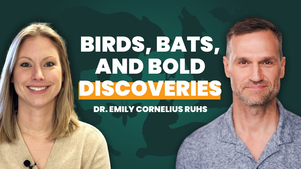 Birds, Bats & Breakthroughs: The Untold Science Behind Wildlife - YouTube