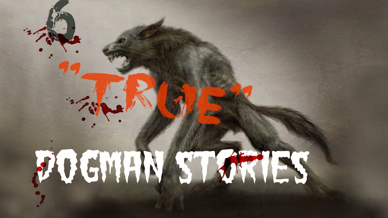 Shivering Tales - 6 TRUE scary Dogman stories - YouTube