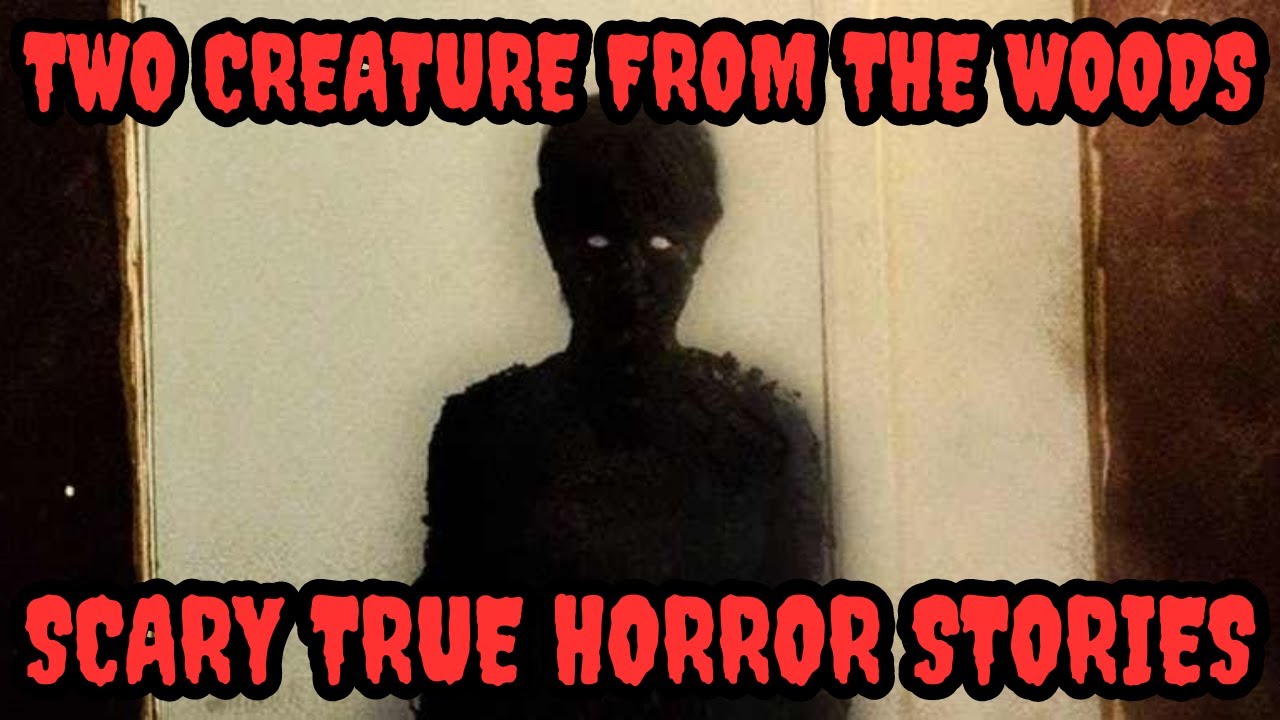 The Woods Hold Secrets: True Scary Creature Tales | Dread Memoirs - YouTube