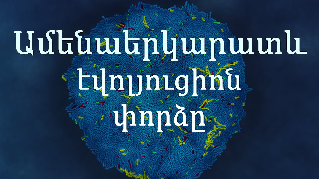 Ամենաերկարատև էվոլյուցիոն փորձը [Veritasium] - YouTube