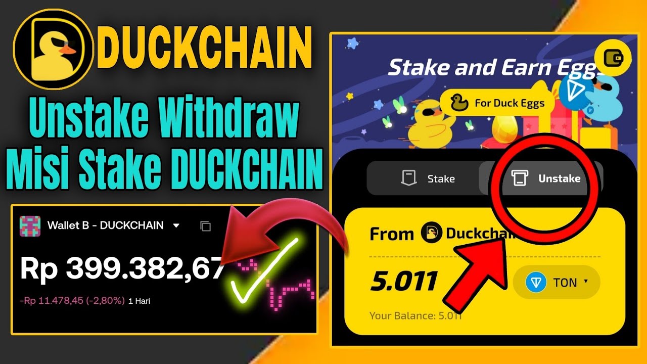 Unstake DUCKCHAIN Sudah Berlaku||Cara Unstake Withdraw Duckchain Misi Stake Dapat Eggs - YouTube