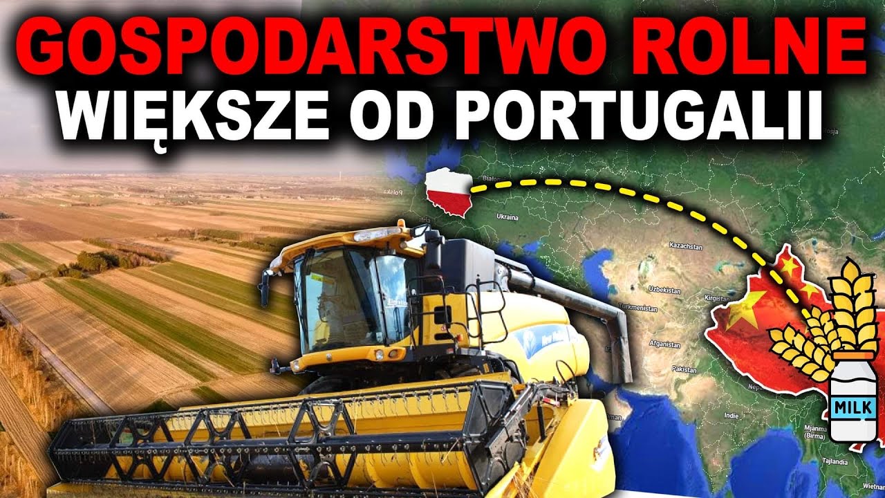 NAJWIĘKSZE GOSPODARSTWO ROLNE NA ŚWIECIE I W POLSCE - jak wygląda ...