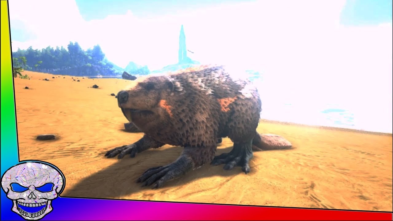 Spawn Du Castoroides / ARK Tout Savoir - YouTube