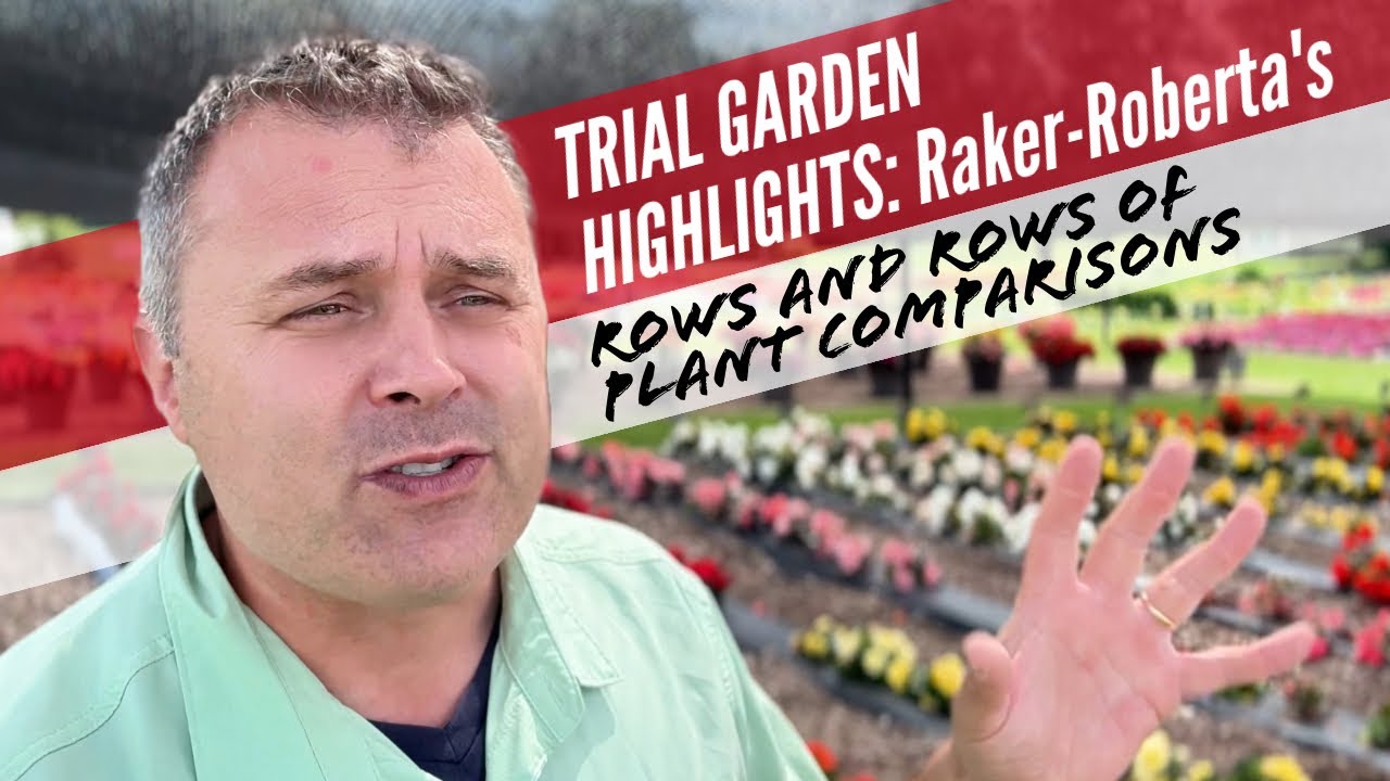 TRIAL GARDEN: Side-by-Side Comparisons of Plants at Raker-Roberta’s ...