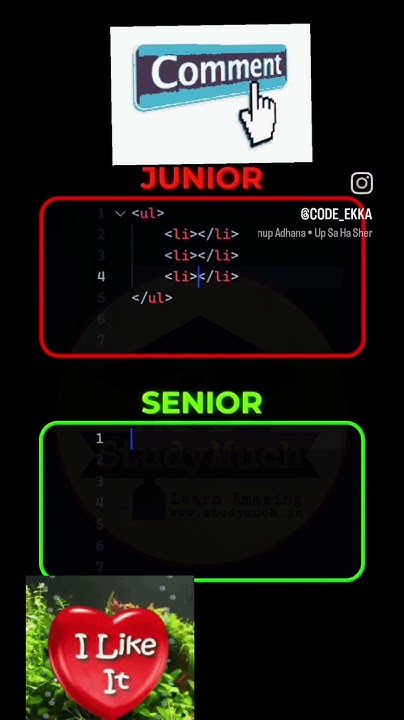 Noob Vs Pro Developer Programming Javascript Html Css Coding