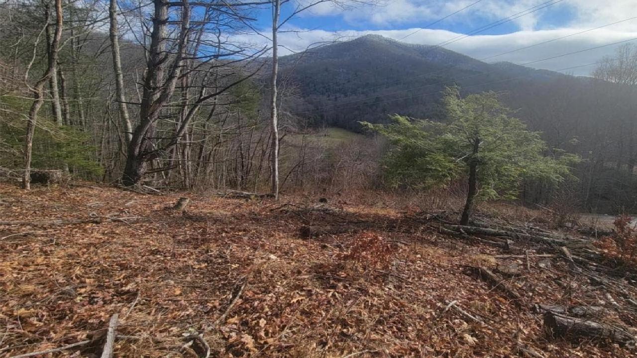 1800 Water Wheel Cove, Clyde, NC Presented by Jaci Reynolds. - YouTube