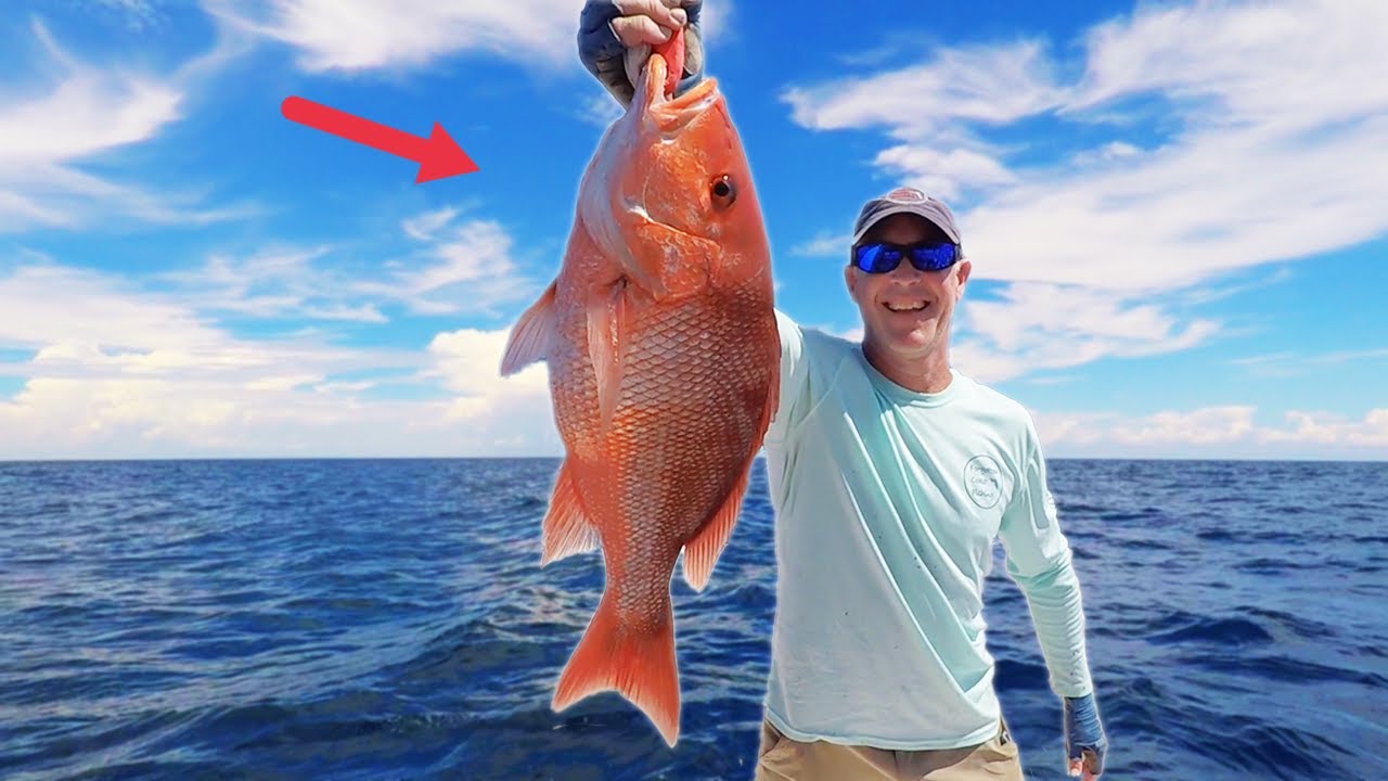 Fishing Multiple Rigs to INCREASE Hookups! [Catch Cook] - YouTube