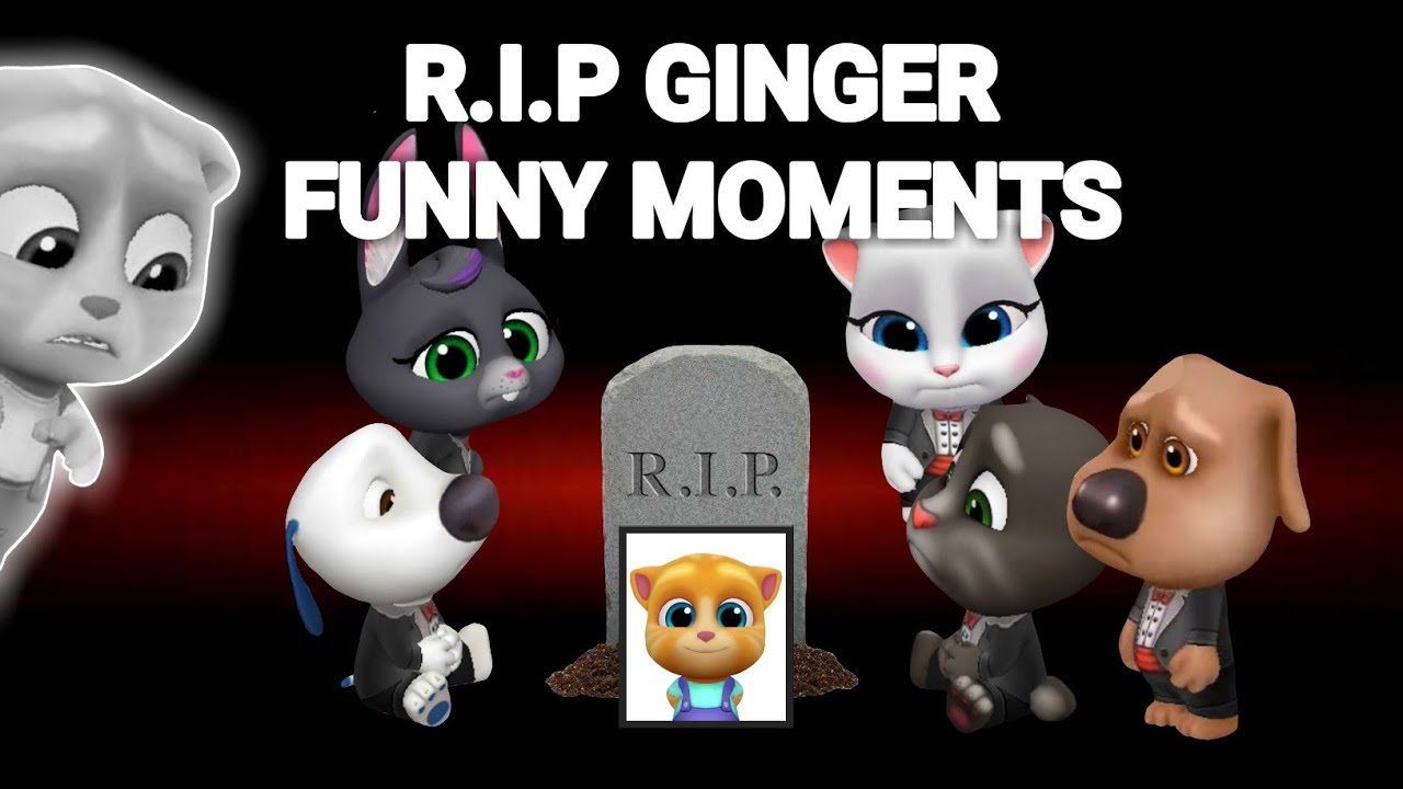 My Talking Tom Friends - AMONG US FUNNY MOMENTS - R.I.P GINGER - YouTube