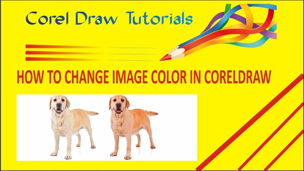 How To Change Image Color In Coreldraw YouTube how-to-change-image-color-in-coreldraw-youtube
