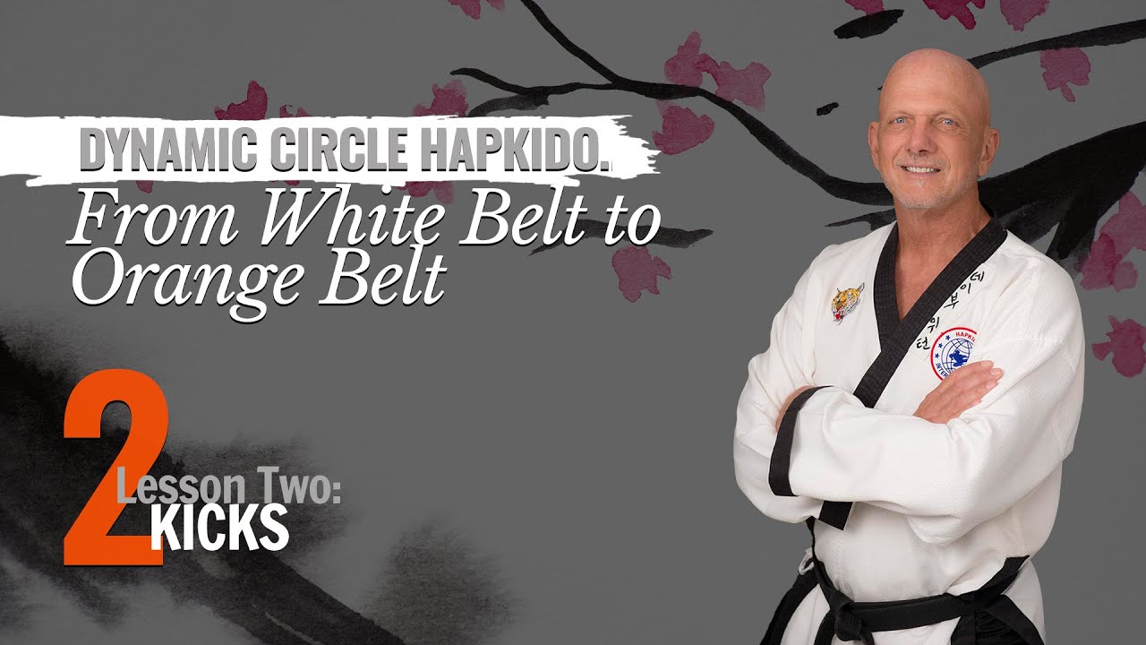 Level 0 - White Belt to Orange Belt Course - Lesson 02 - Kicks - YouTube