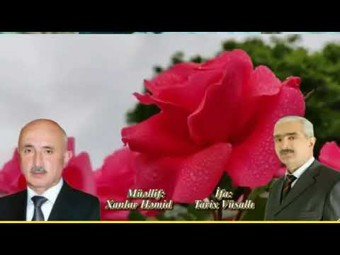 Talis seyirleri.