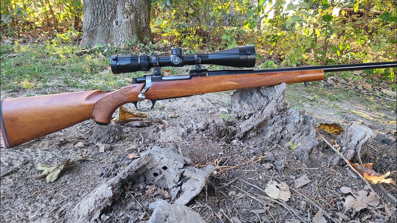 ruger m77 hawkeye 22-250, and a little cheese - YouTube