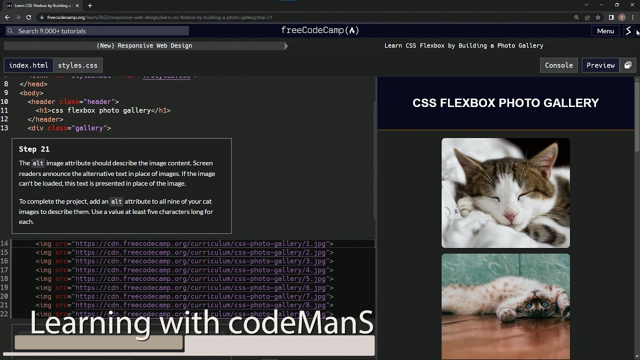 Archived Freecodecamp New Responsive Web Design Building A