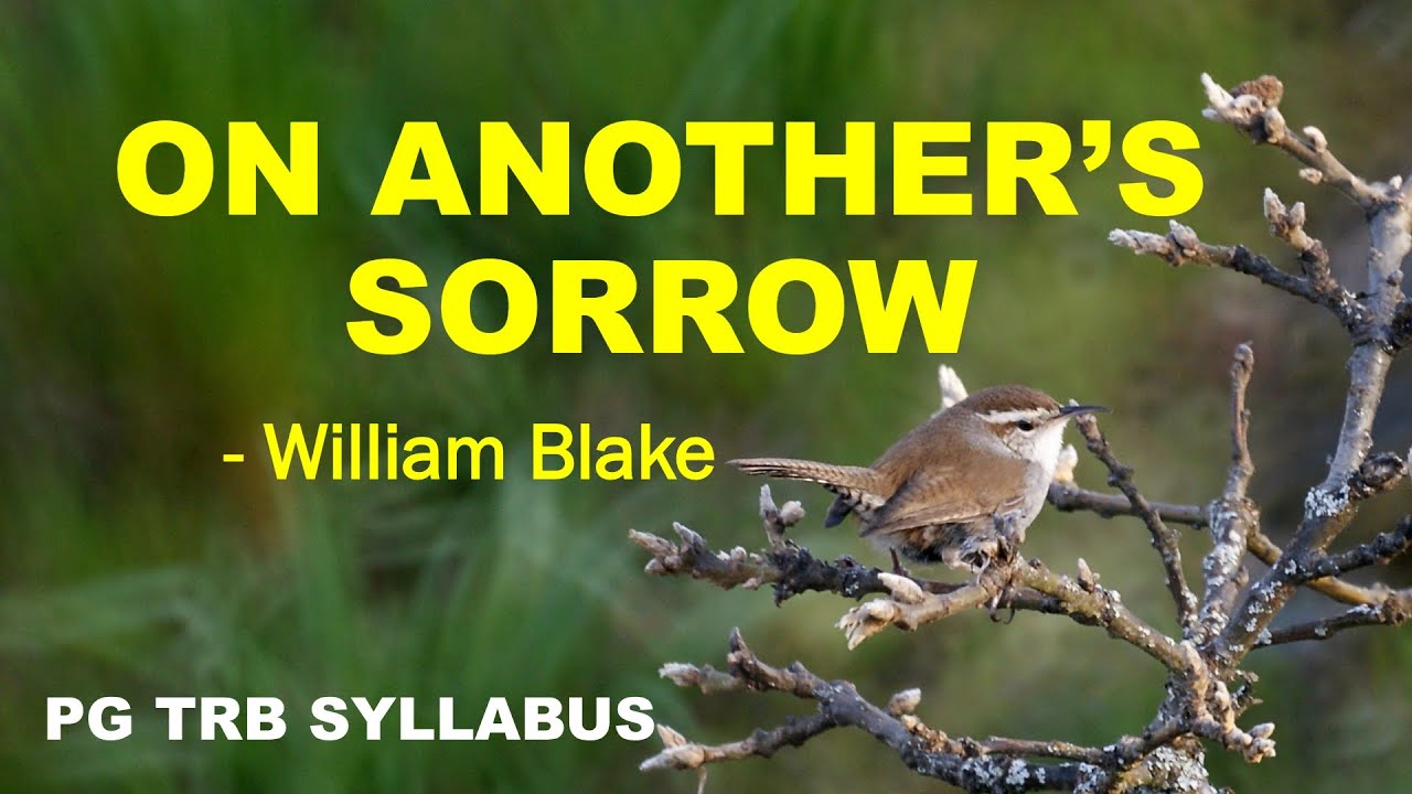 On Another's Sorrow | William Blake | PG TRB | NET | SET | Explained in ...