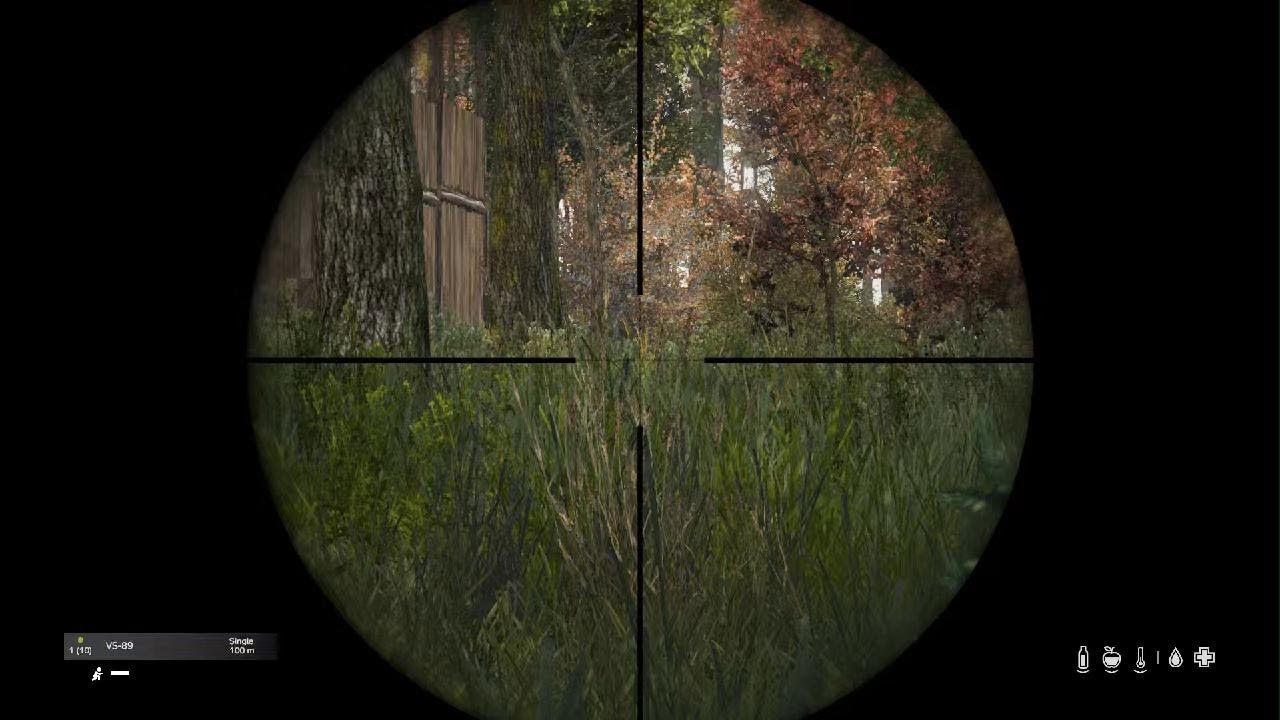 DayZ official love the new scope - YouTube
