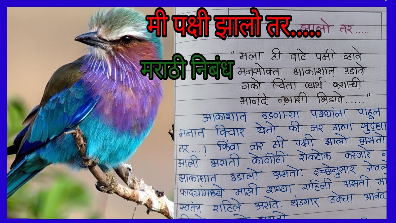 मी पक्षी झालो तर मराठी निबंध | Mi Pakshi Zalo Tar Marathi Nibandh | Mi ...