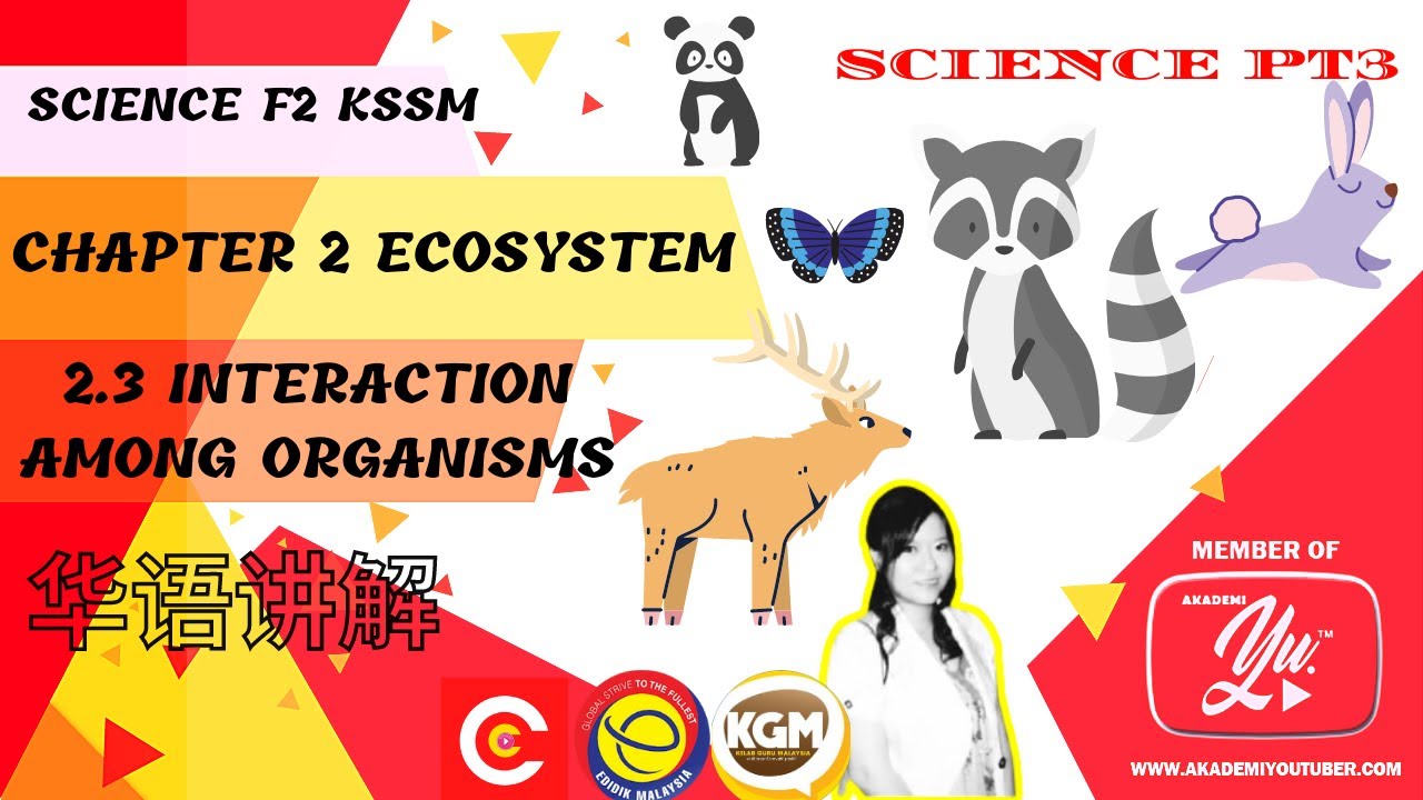 SCIENCE | FORM 2 | INTERACTION AMONG ORGANISMS #cikguchoi - YouTube