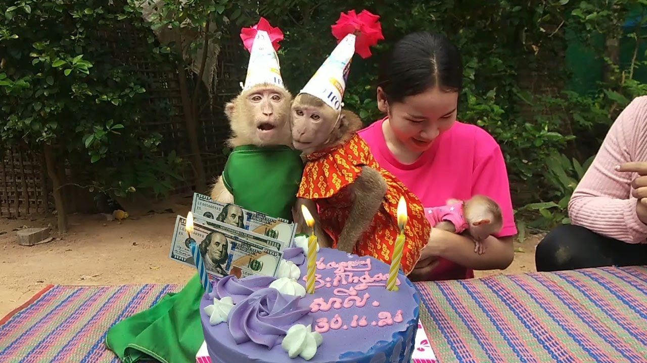 [ Shally Celebration ] Happy Birthday To You, Shally ! - YouTube