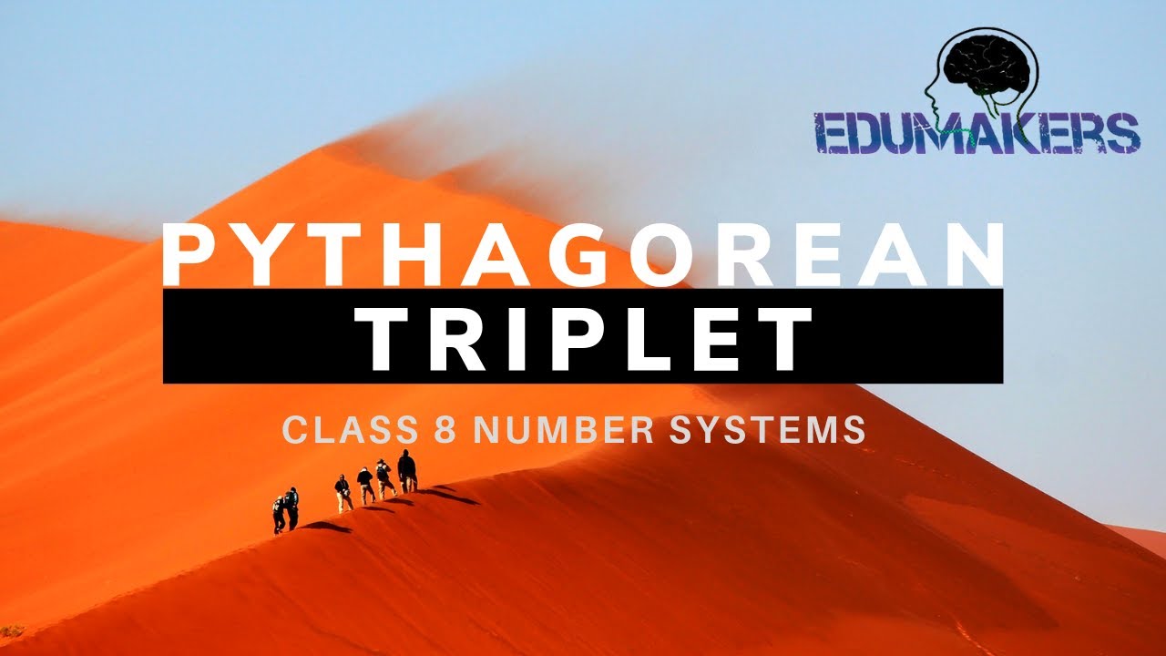 NCERT Maths Solutions | Pythagorean Triplet Class 8 Numbers System ...