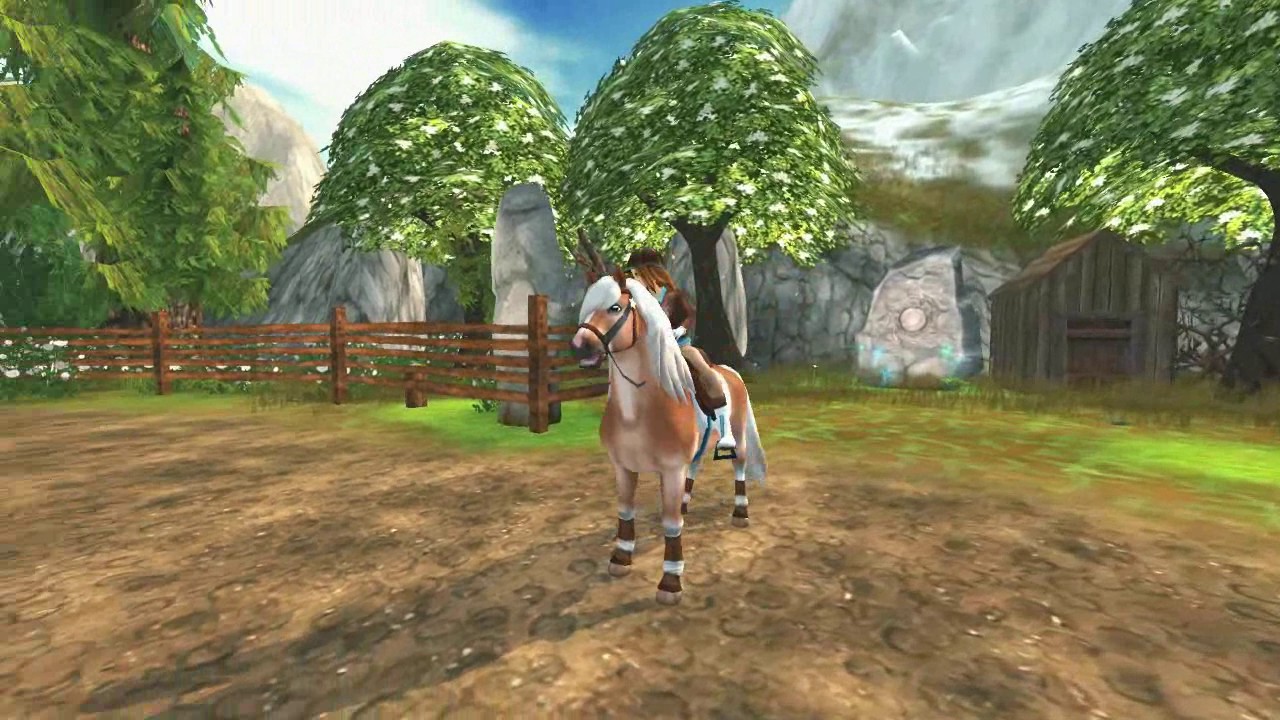 Buying a Haflinger Horse! || SSO - YouTube