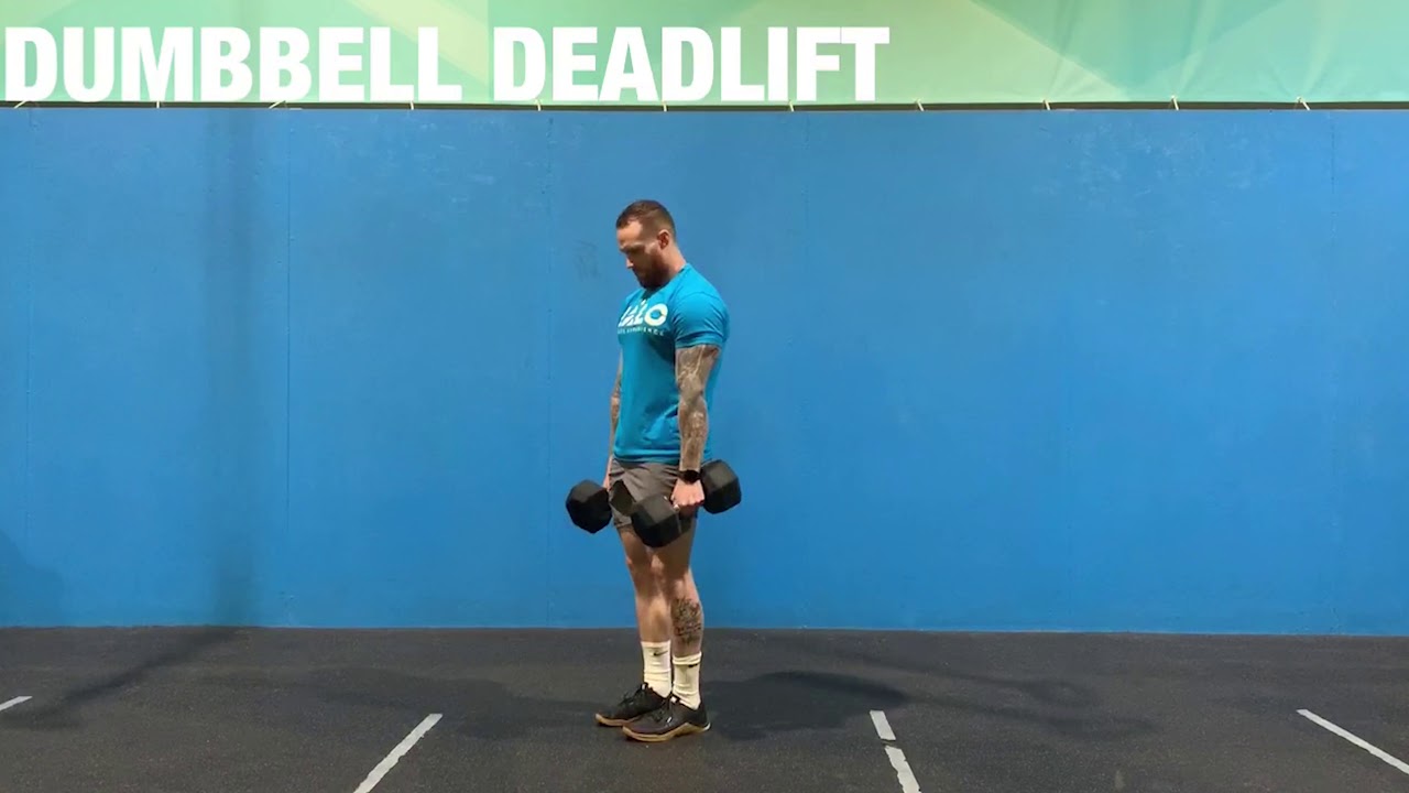 Halo Fitness Experience: Dumbbell Deadlift - YouTube