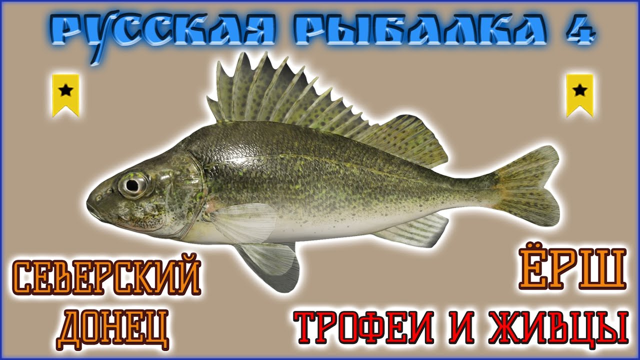 РР4 СЕВЕРСКИЙ ДОНЕЦ ЕРШ ЖИВЕЦ / РУССКАЯ РЫБАЛКА 4 ЛОВЛЯ ЖИВЦОВ ...