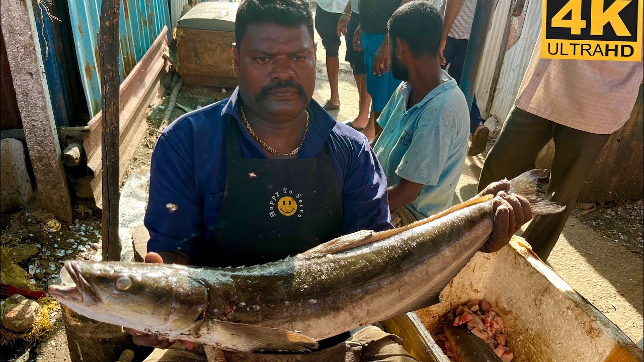 Kadoraa fish/Parla fish cutting video/Fishcuttingrs #fishcuttingrs # ...