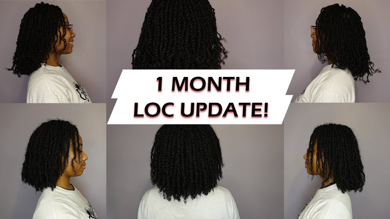 1 Month Starter Loc Update! (with pics & vids) | Two-Strand Twists ...