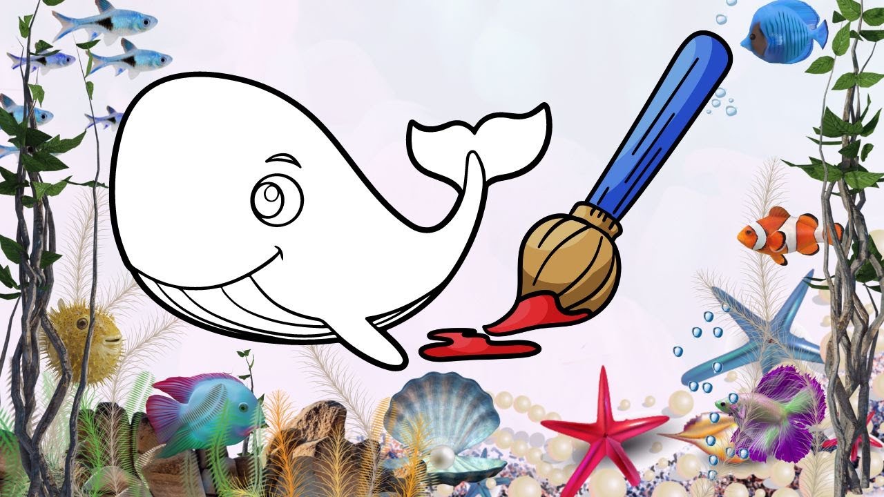 sea animals drawing video, How to draw sea Animals, drawing,Aquatic ...
