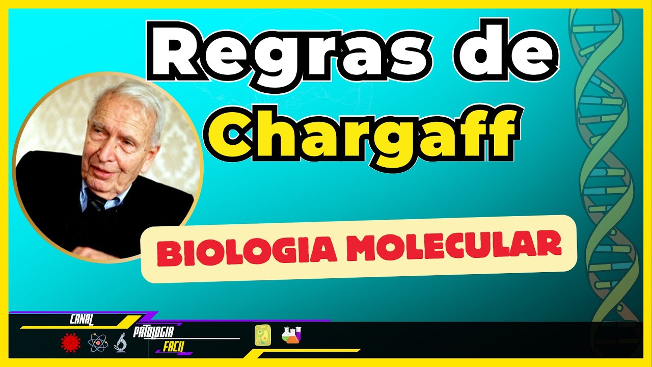 Regras de Chargaff e Nucleotídeos [Biologia Molecular] - YouTube