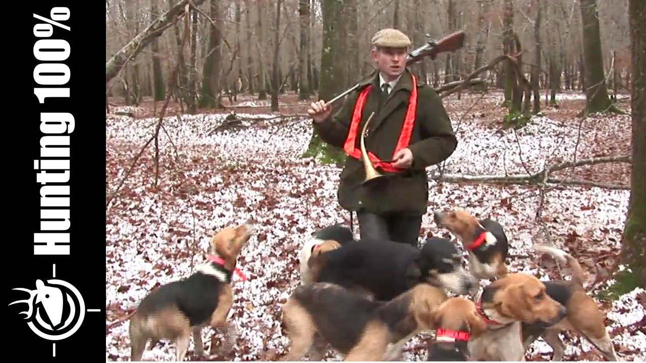 Deer and Wild Boar Hunting in France - YouTube