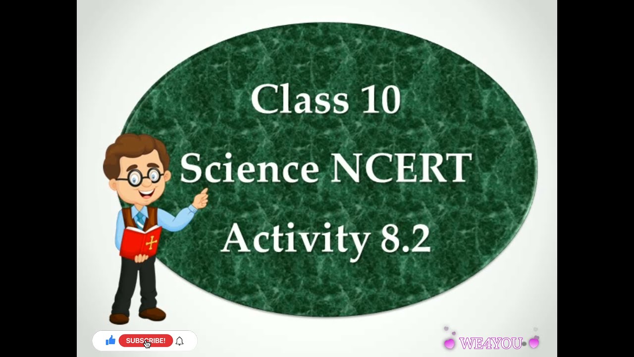 Class 10 science ncert activity 8.2 || How do organisms reproduce ...