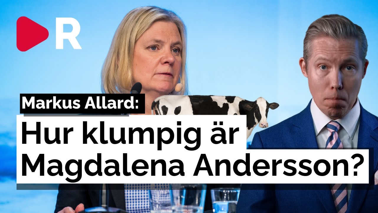 Markus Allard: Magdalena Andersson är som en ko i en porslinsbutik - YouTube