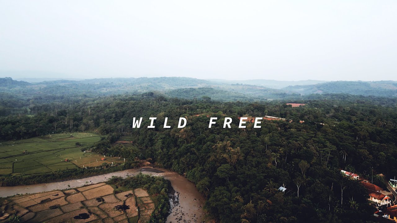 DJI MINI 3 PRO | 4K WILDFREE - YouTube