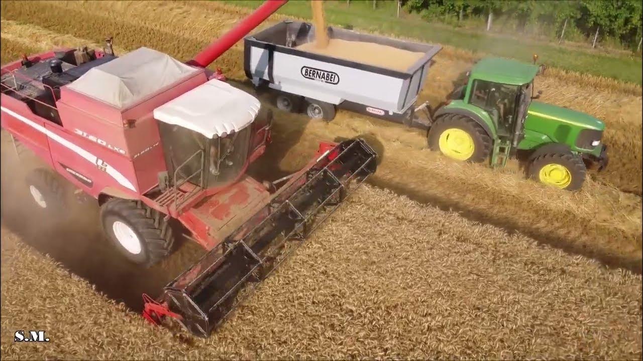 TREBBIATURA 2023 - GRANO TENERO - YouTube