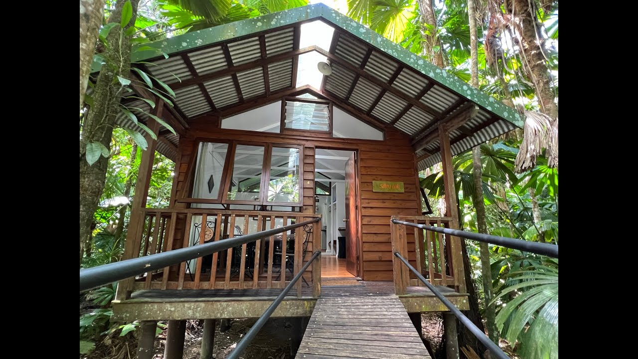 Wilderness In The Daintree Rainforest - YouTube