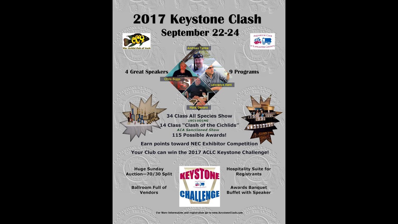 Keystone Clash Helps Ted Coletti - YouTube