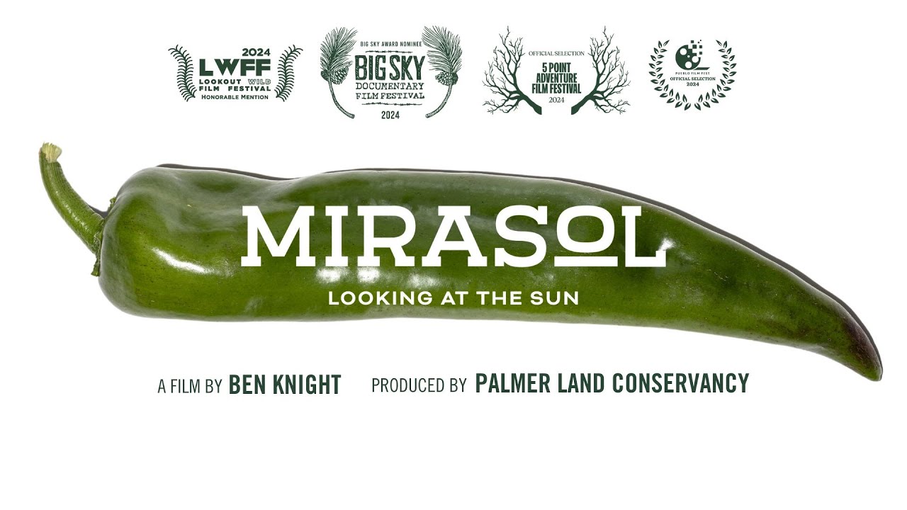 MIRASOL, Looking at the Sun Teaser - YouTube
