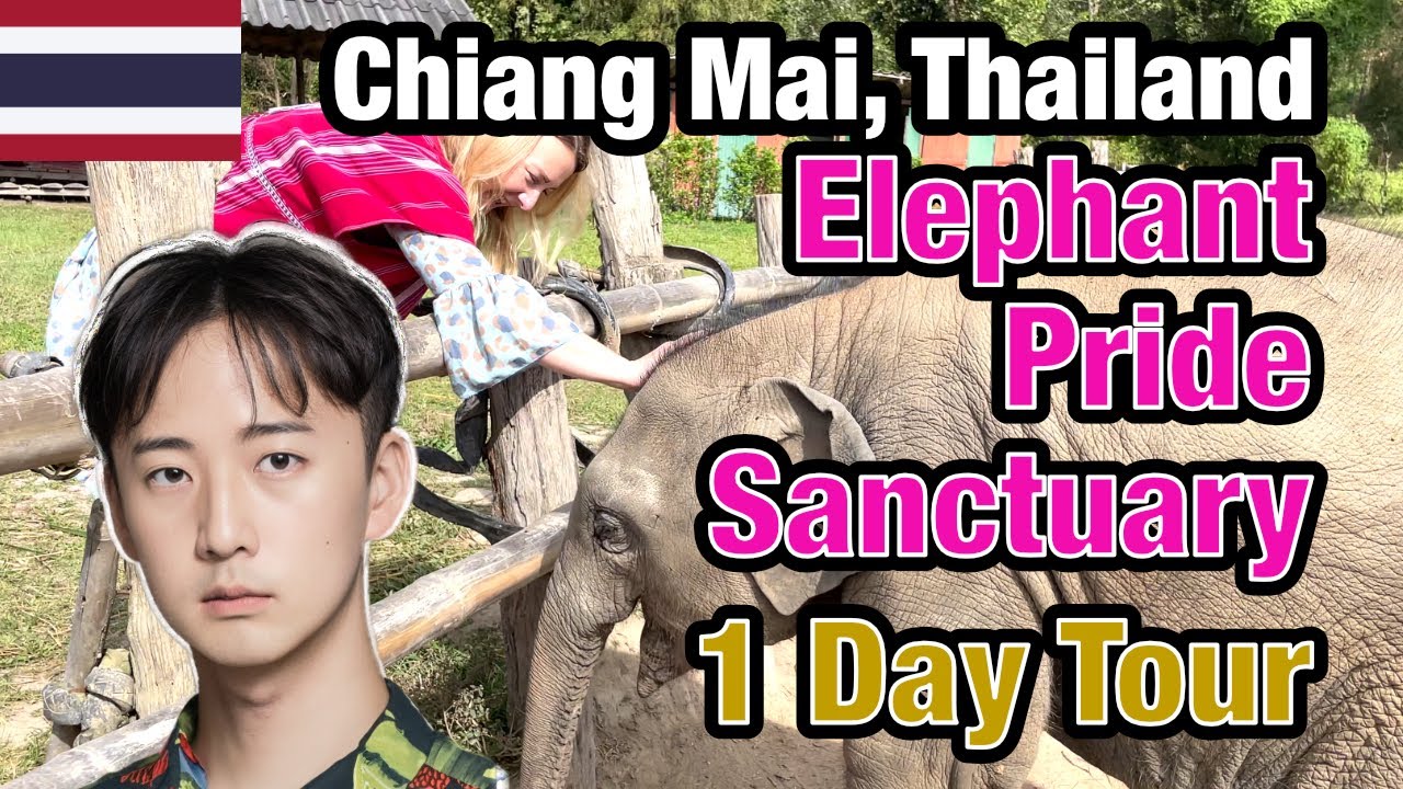 Elephant Pride Sanctuary - 1 Day Tour - YouTube