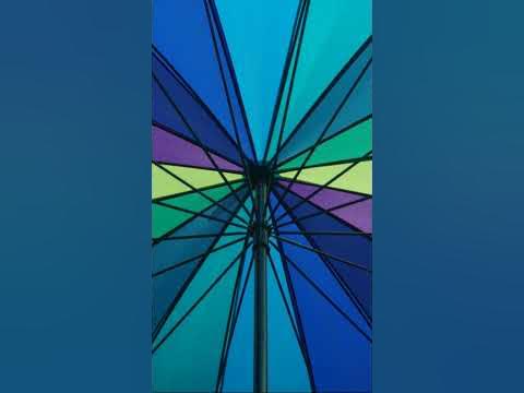 Bear Hunt Joke - YouTube